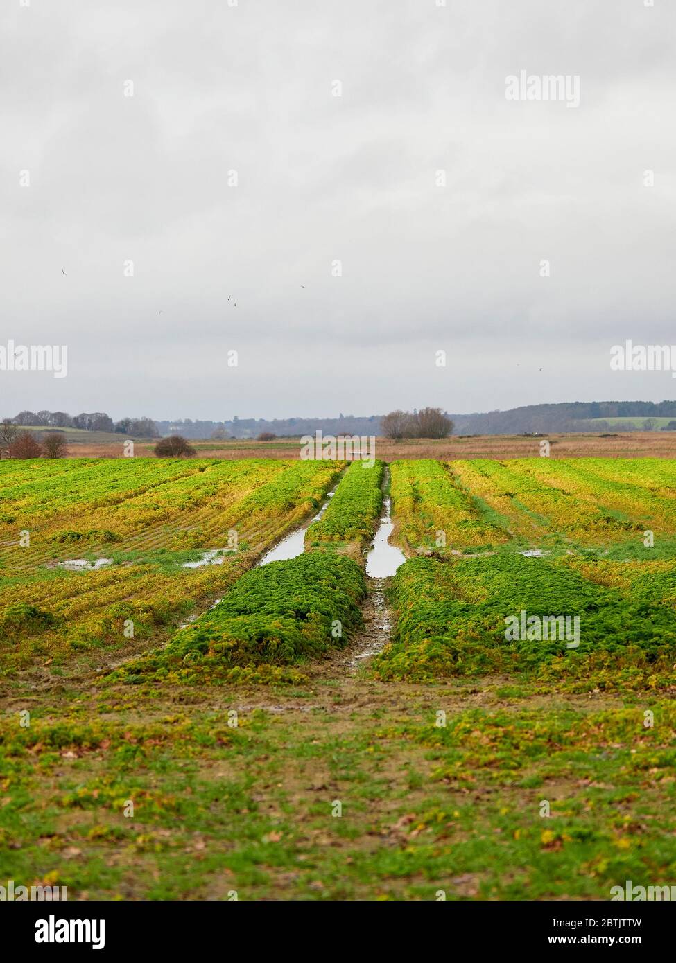 Field and water channel hi-res stock photography and images - Alamy