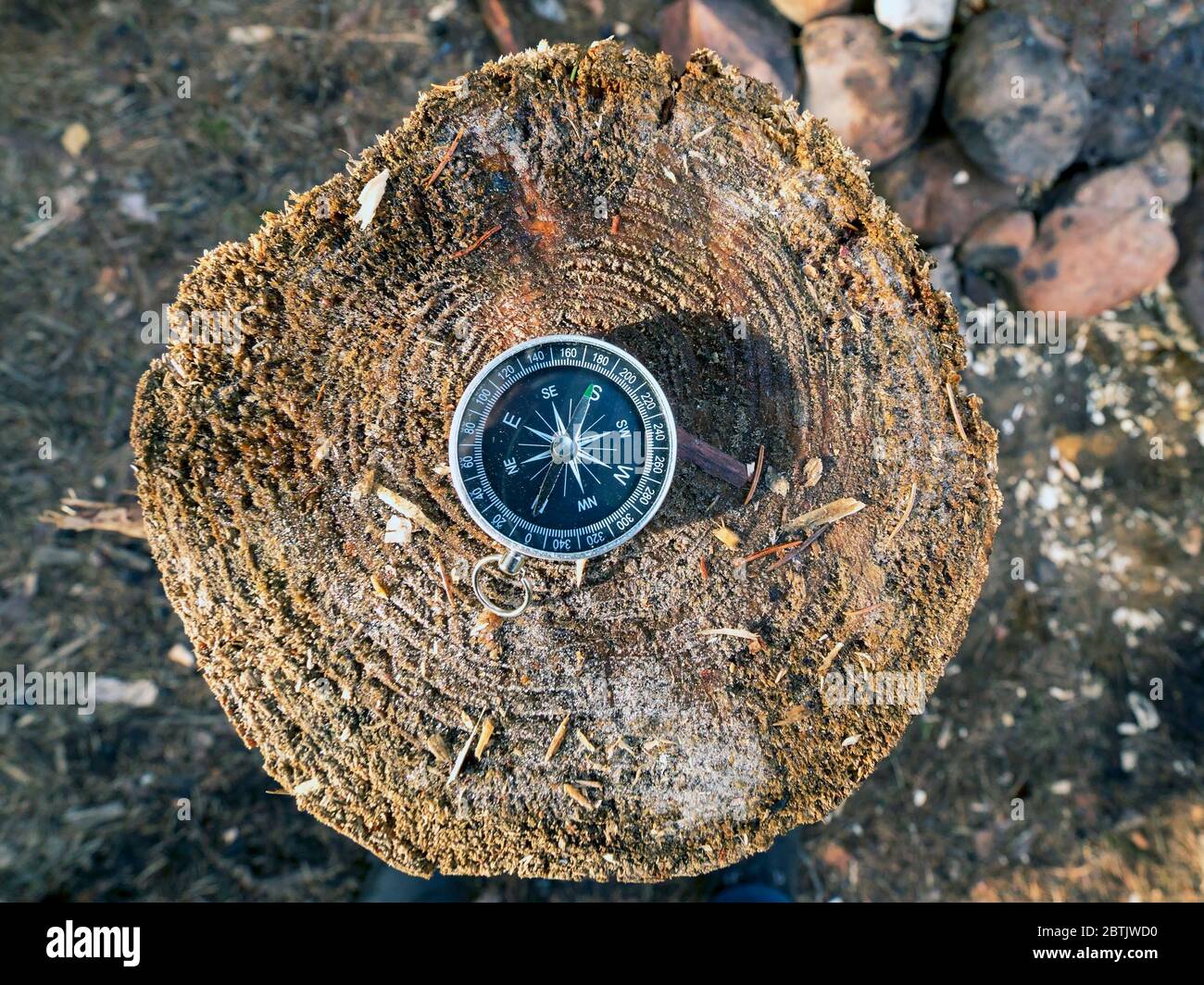The compass is lying on a wooden stump in the forest. Arrow to the ...