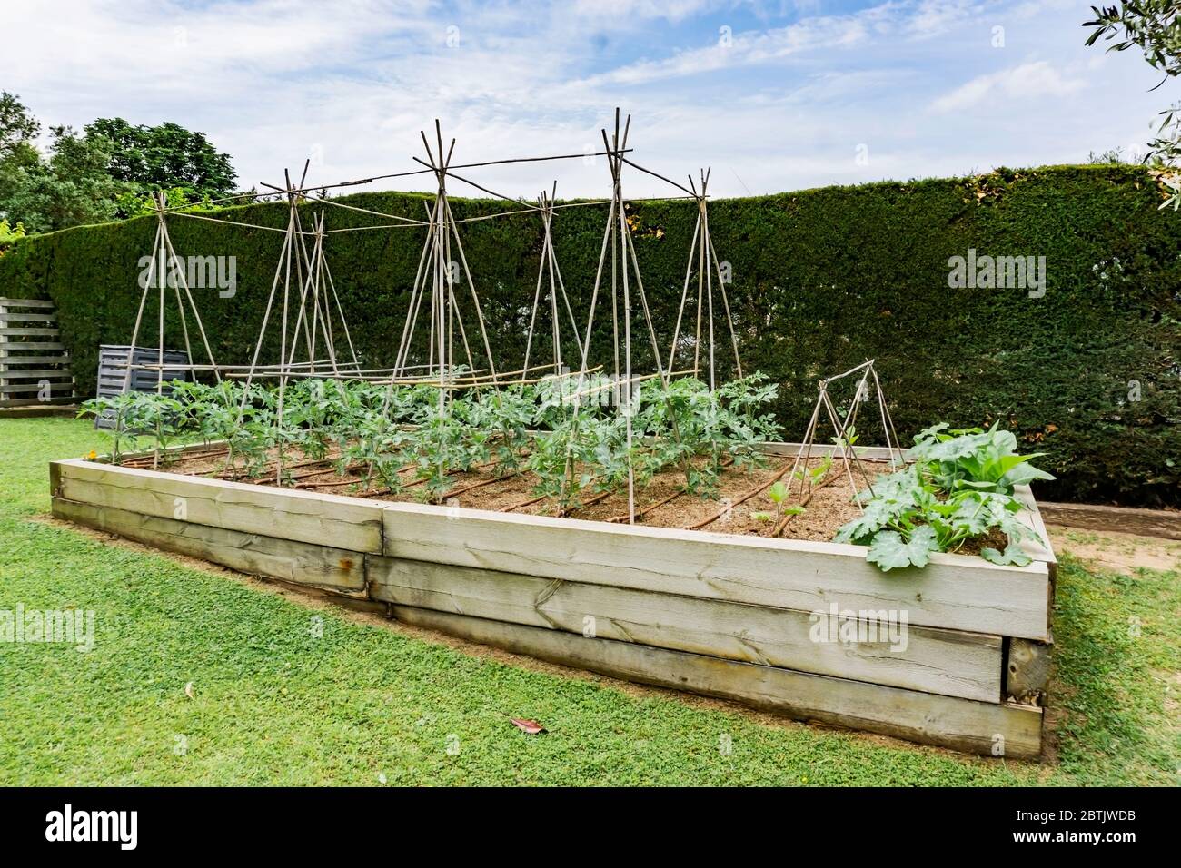 vegetable garden with harvest growing Stock Photo - Alamy