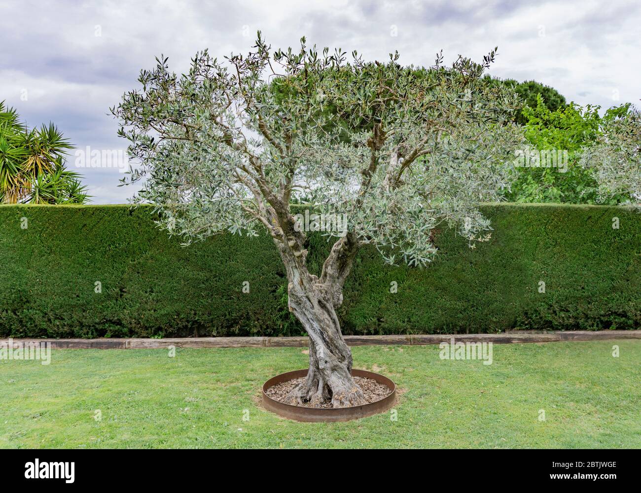 Oliver grove hi-res stock photography and images - Alamy