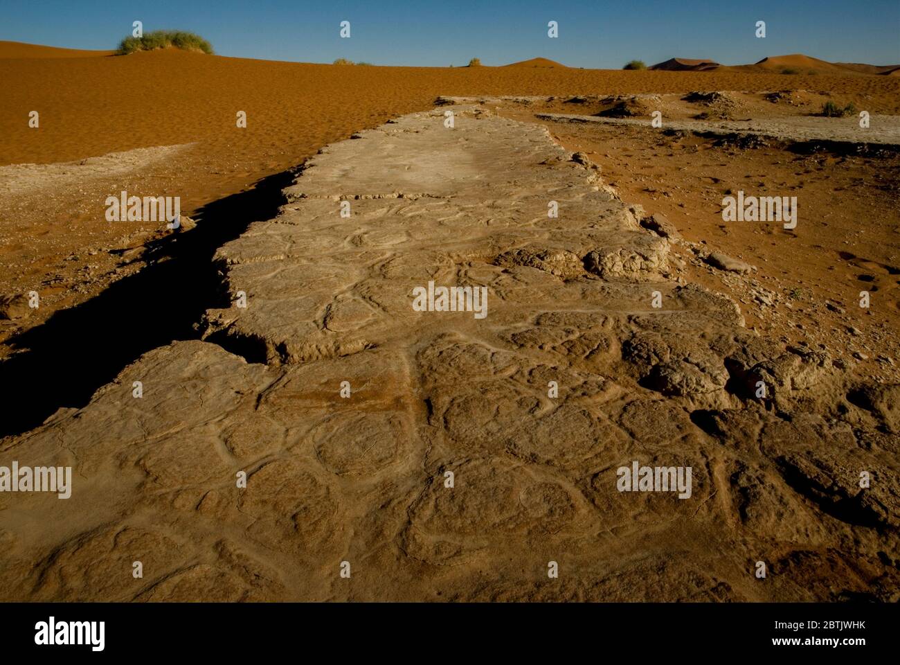 Namibia desert landscape hi-res stock photography and images - Alamy