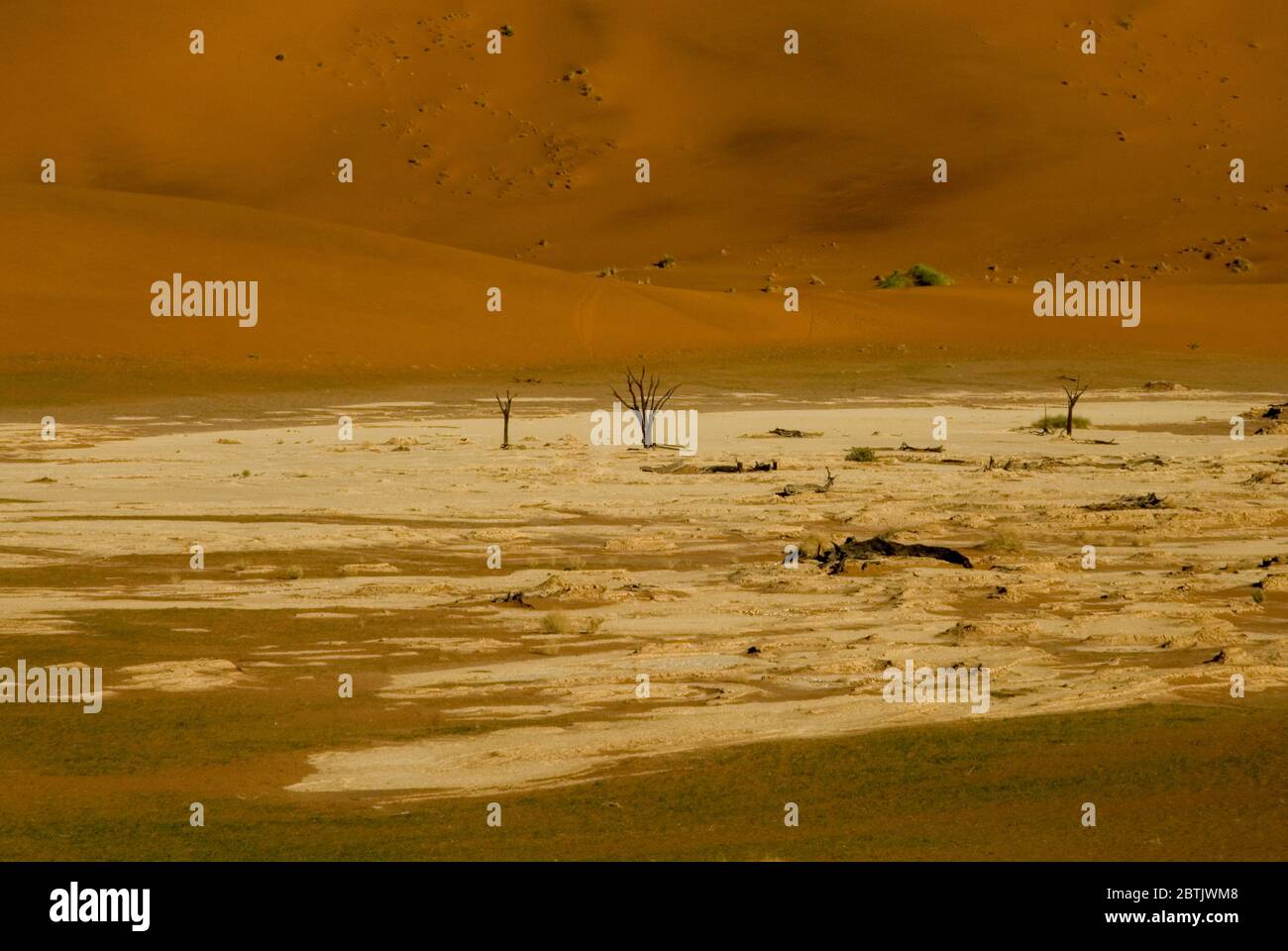 Namibia desert landscape hi-res stock photography and images - Alamy