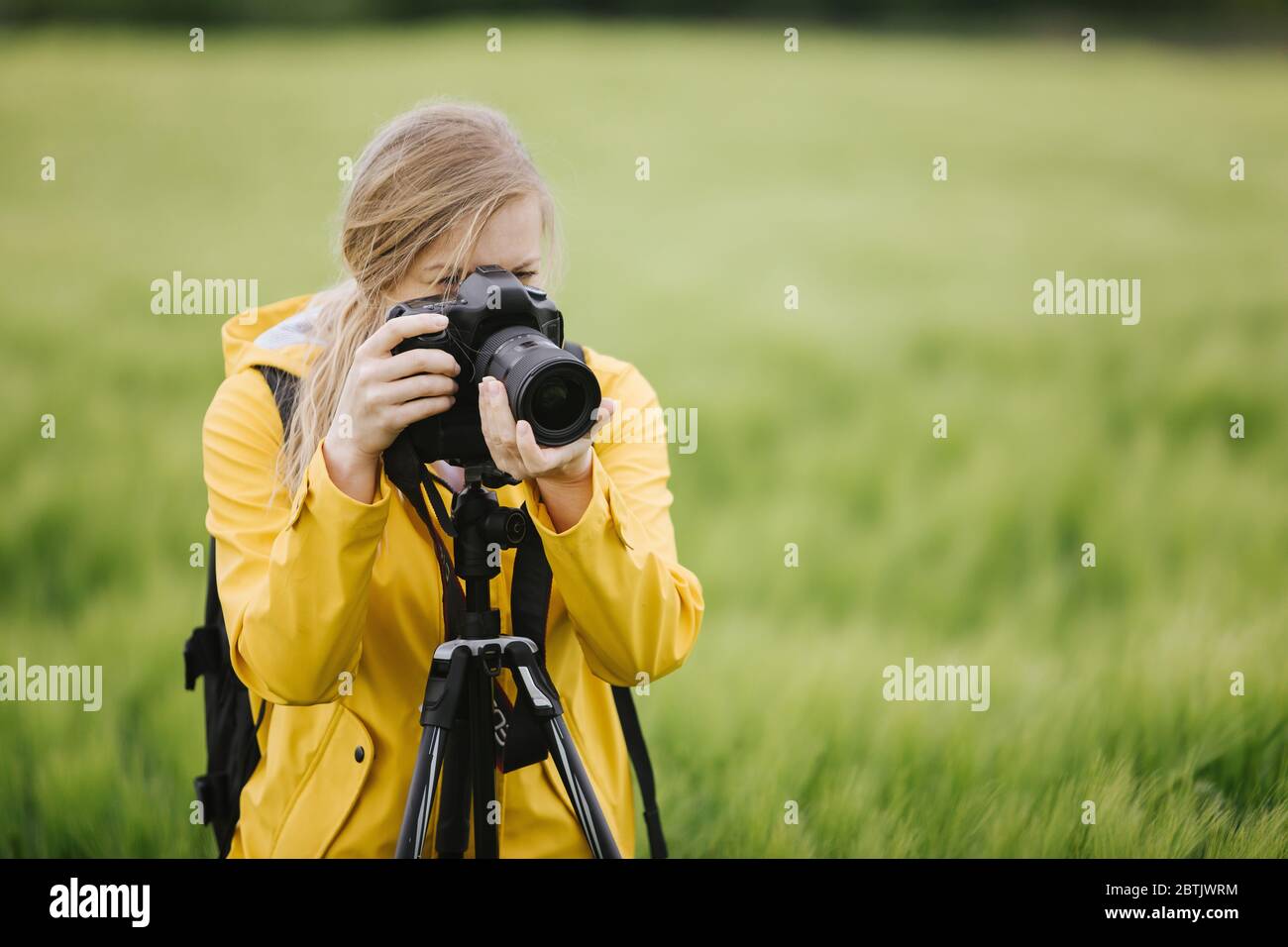 Woman using digital camera taking hi-res stock photography and images ...
