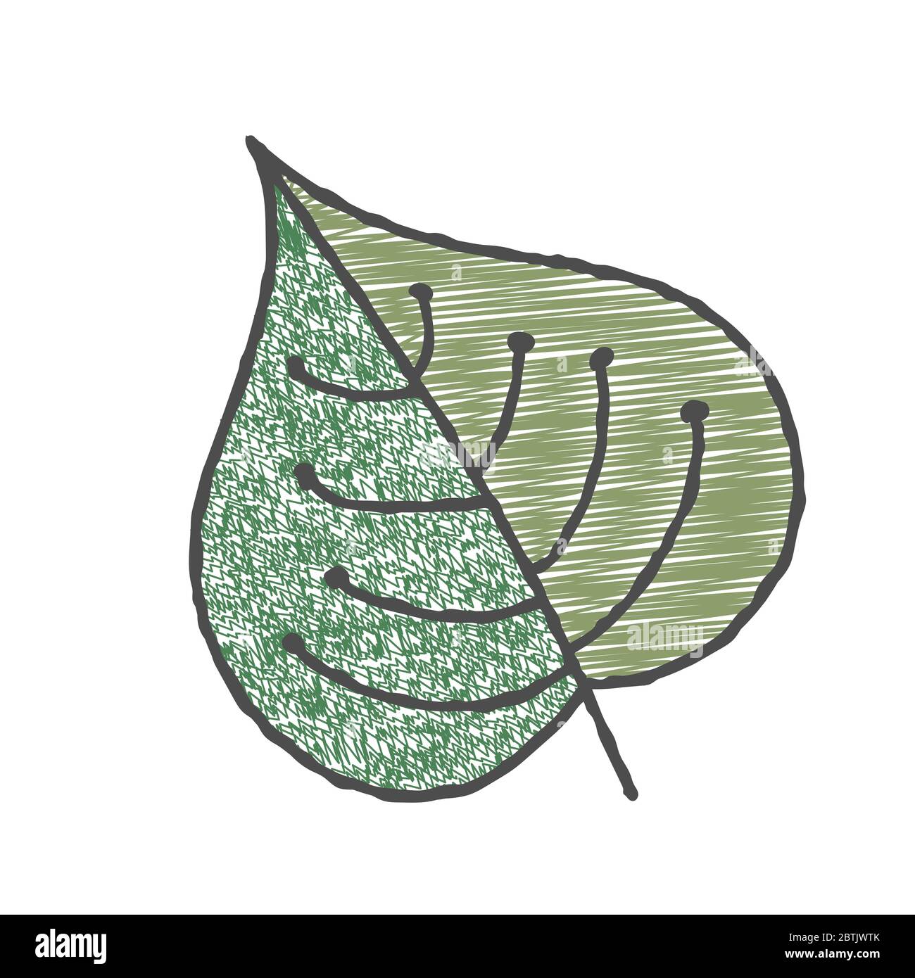 Leaf Drawing Color