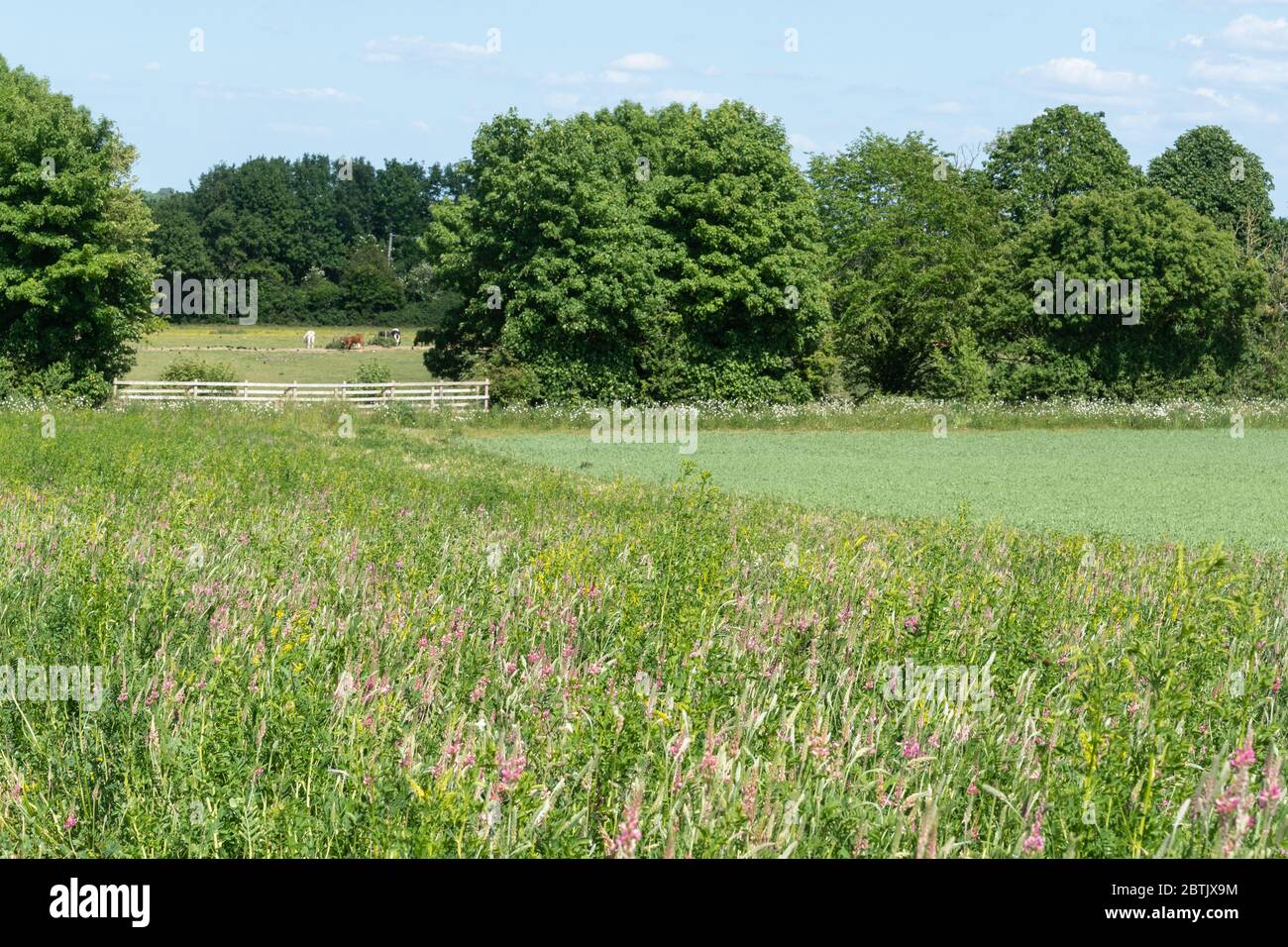 Integrated farming hi-res stock photography and images - Alamy
