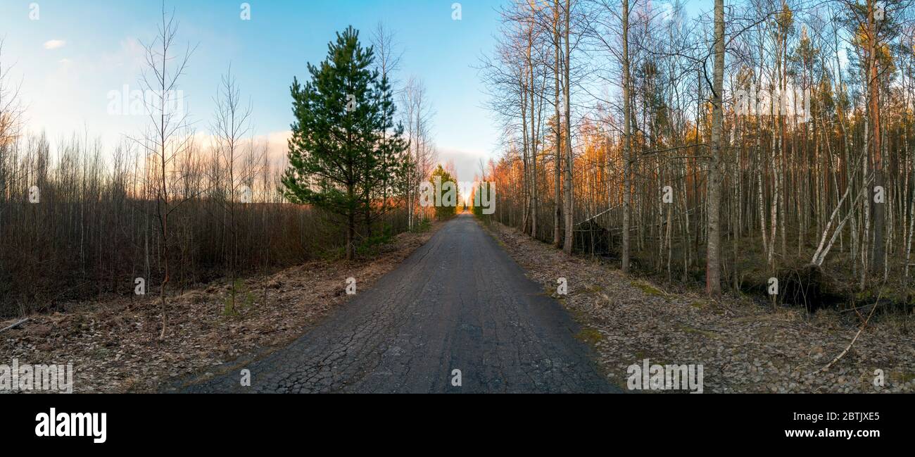Narrow forest road hi-res stock photography and images - Alamy