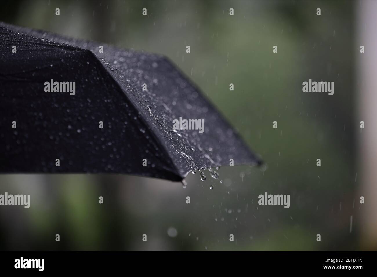 Rain drops umbrella hi-res stock photography and images - Alamy