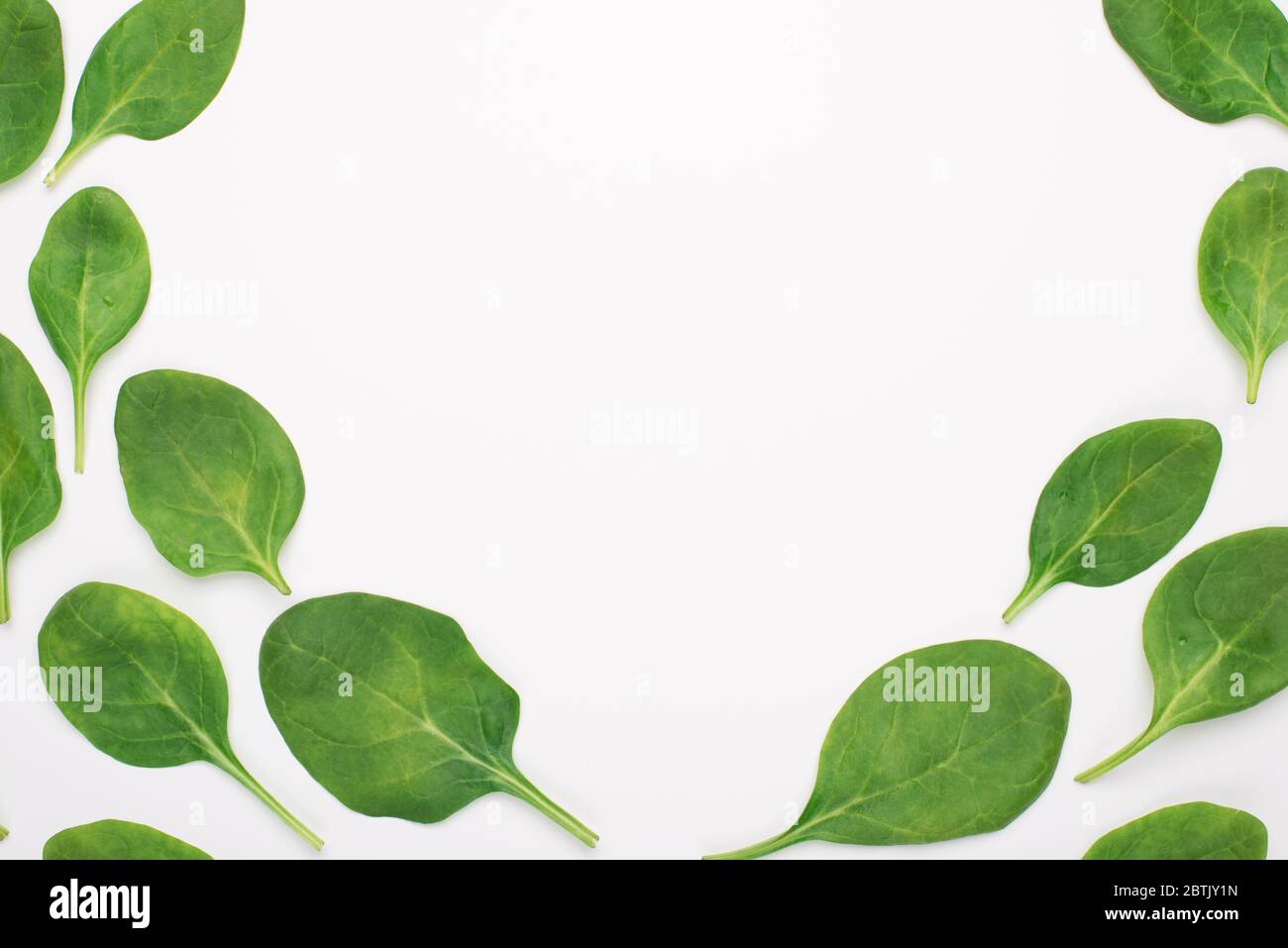 Top above overhead view photo of baby spinach placed on the sides ...