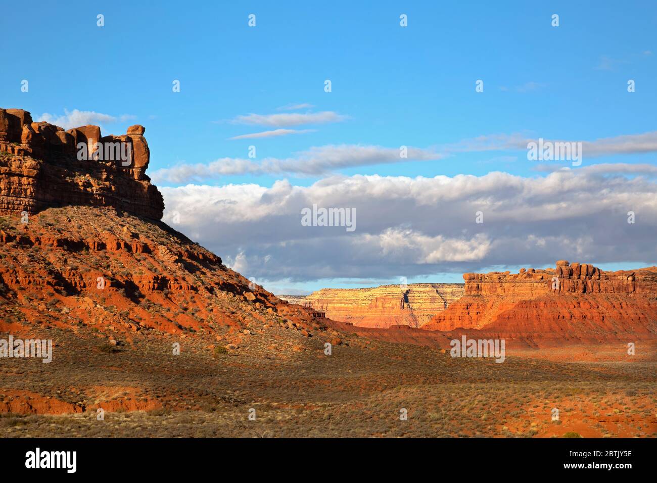 Environmental concern hi-res stock photography and images - Alamy