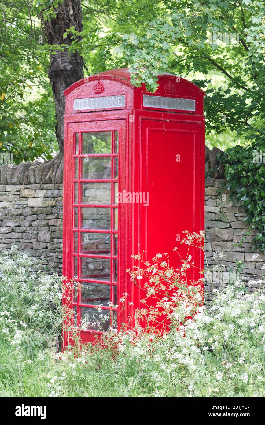 vintage telephone box surrounded by Anthriscus sylvestris, Cow parsley ...