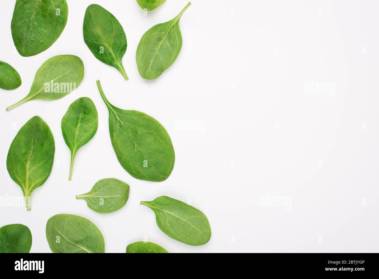 Top above overhead view photo of baby spinach placed on the left side ...