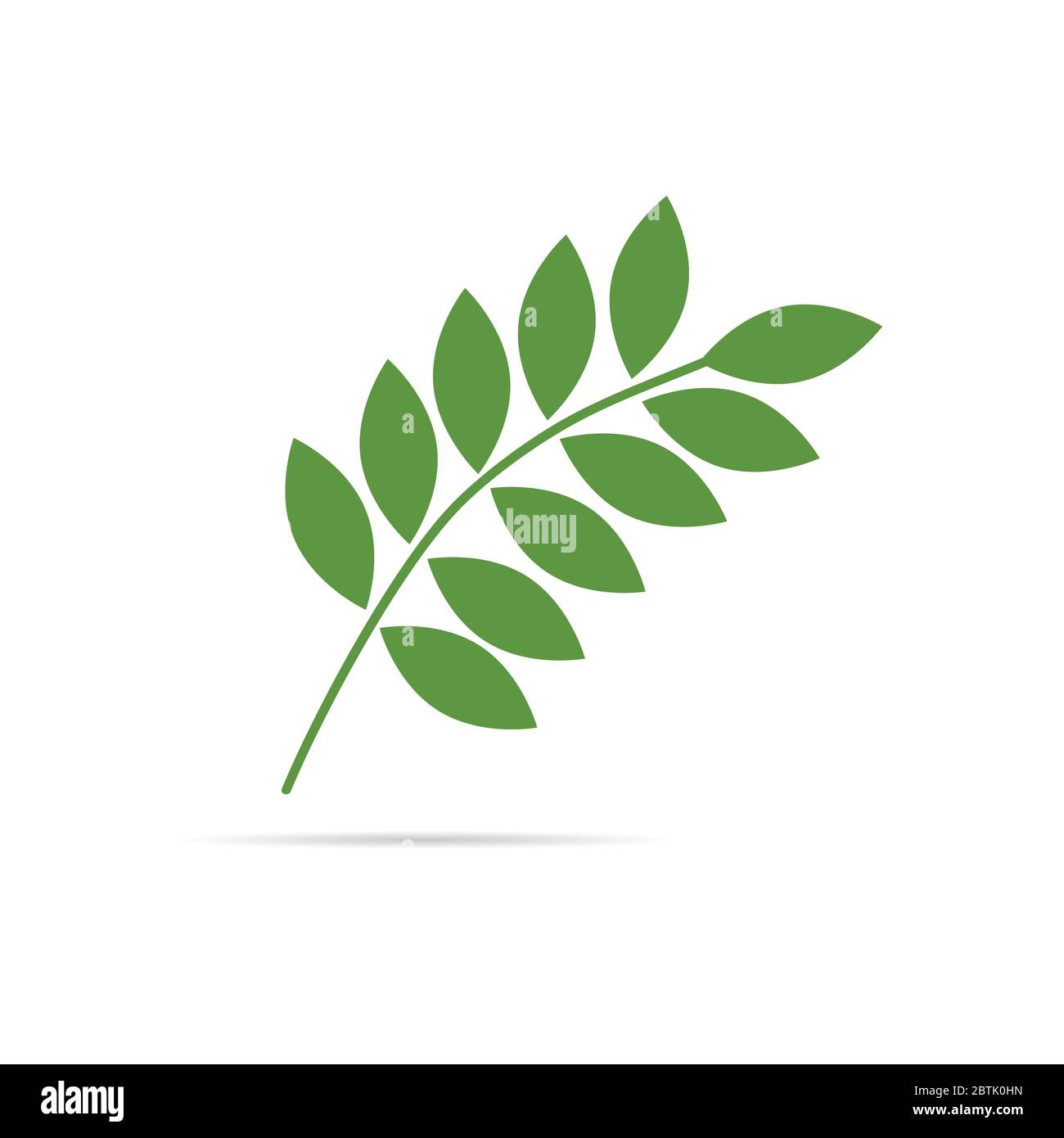 twig with leaves green vector illustration Stock Vector Image & Art - Alamy