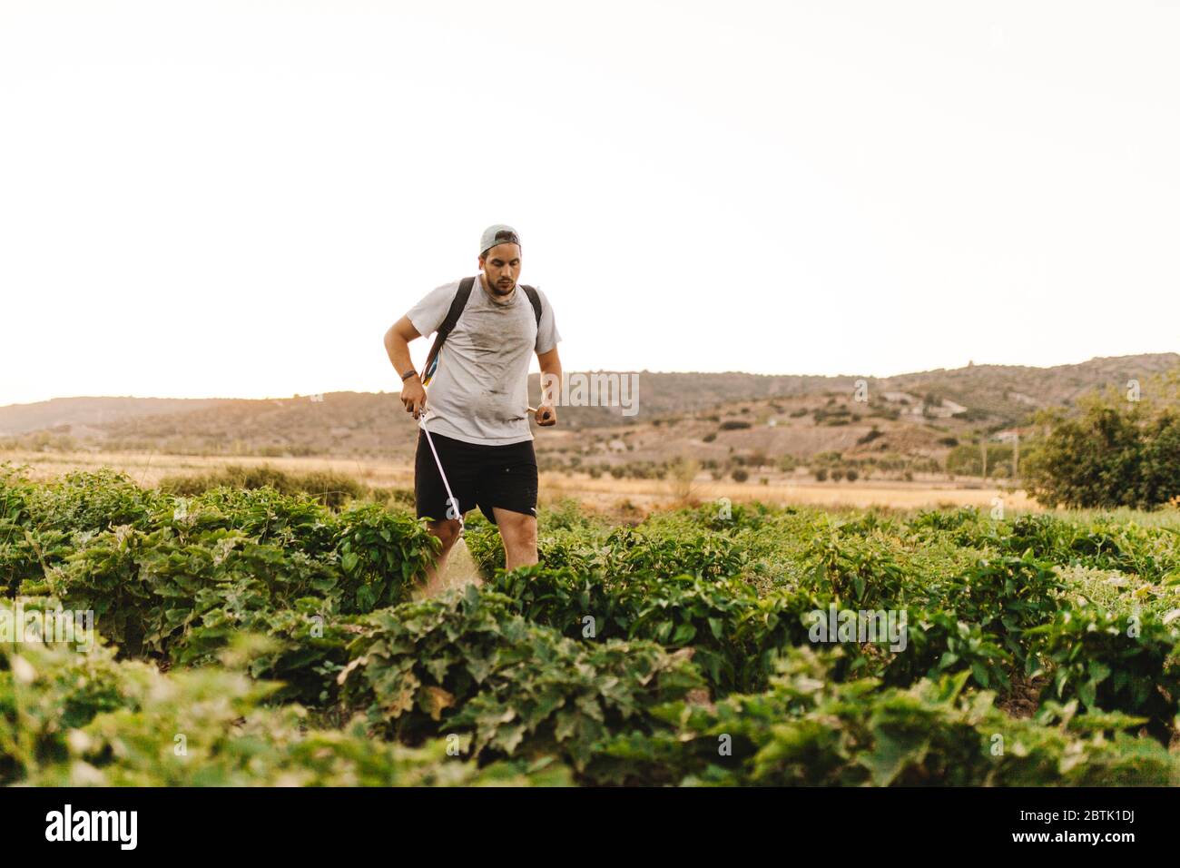 Farmer man spraying organic herbicide on the crop Stock Photo - Alamy