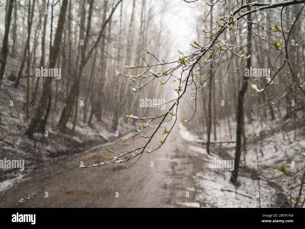 With first heavy falls snow hi-res stock photography and images - Alamy