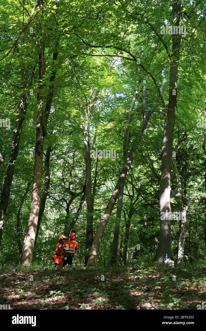 Ranmore common dorking hi-res stock photography and images - Alamy