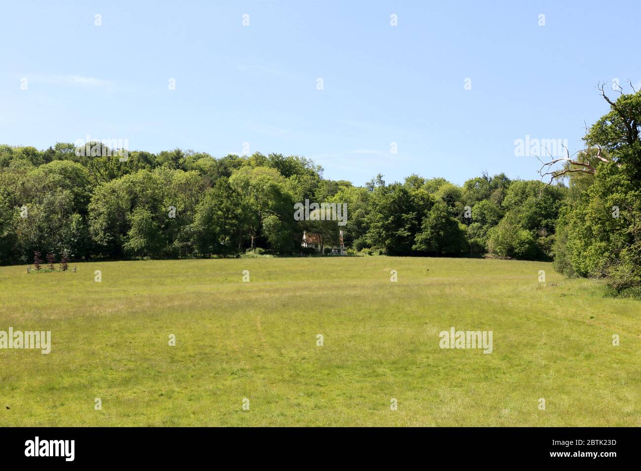 Tanners hatch hi-res stock photography and images - Alamy