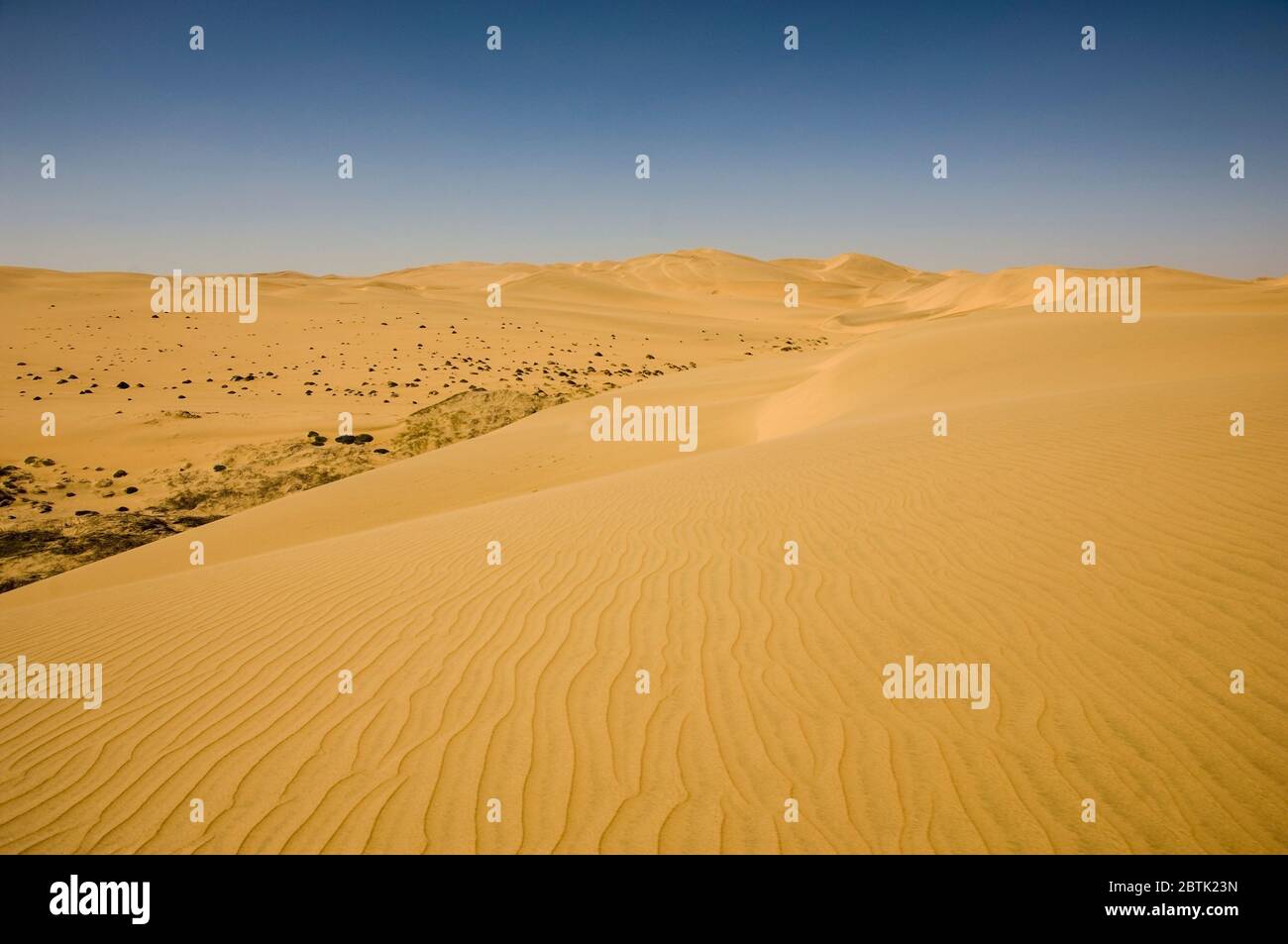 high sand dunes in namibia Stock Photo - Alamy