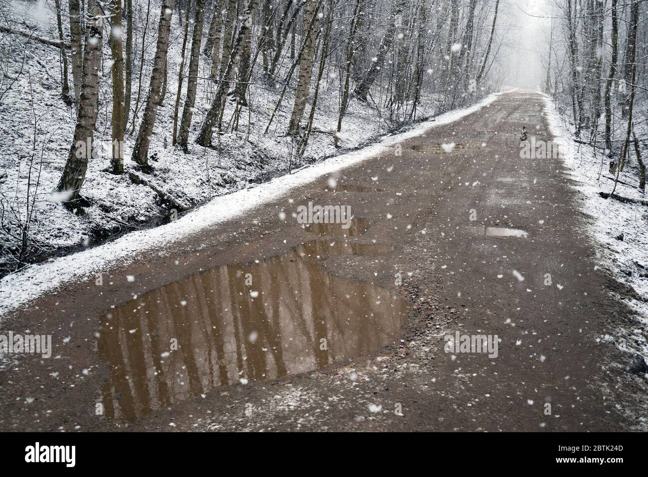 Heavy snow falls on the road in the spring.Vsevolozhsk. Leningrad ...
