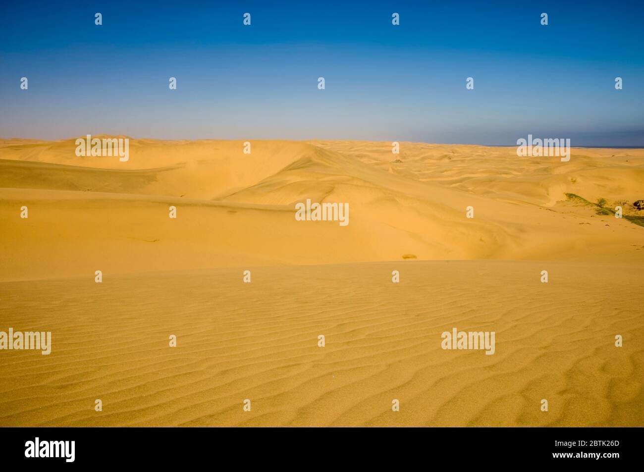 high sand dunes in namibia Stock Photo - Alamy