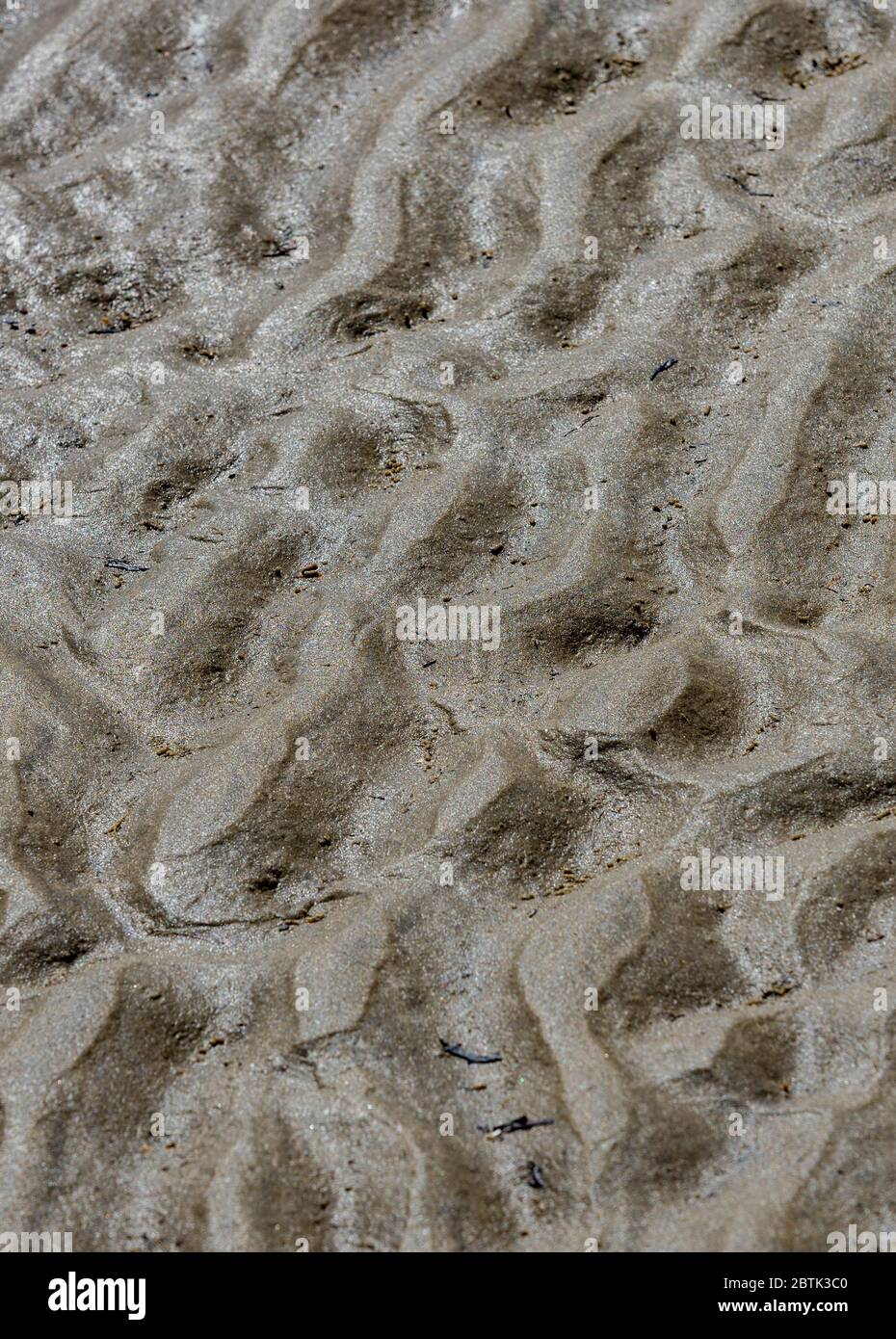 patterns in the sand on a beach at low tide Stock Photo - Alamy