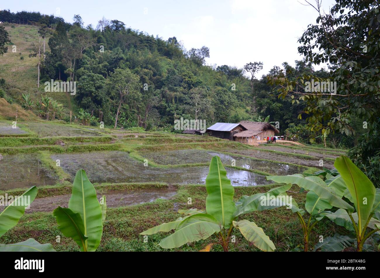 Impression of a beautiful trekking tour around CHiang Rai Stock Photo ...