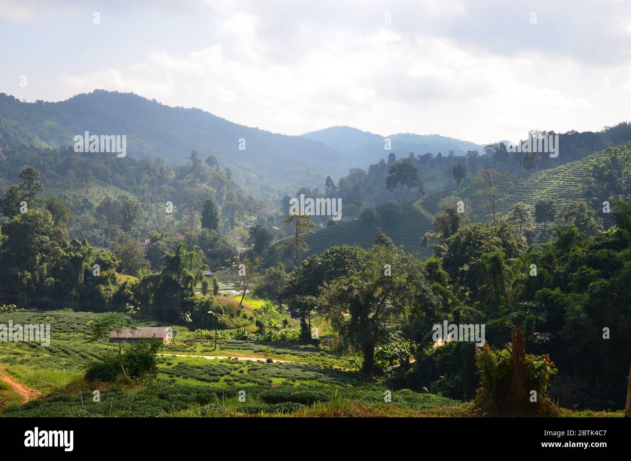 Impression of a beautiful trekking tour around CHiang Rai Stock Photo ...