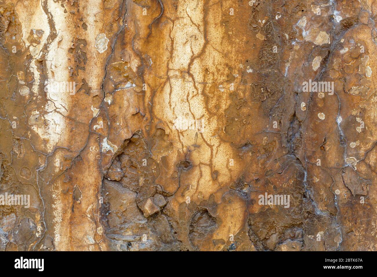 Decay texture hi-res stock photography and images - Alamy