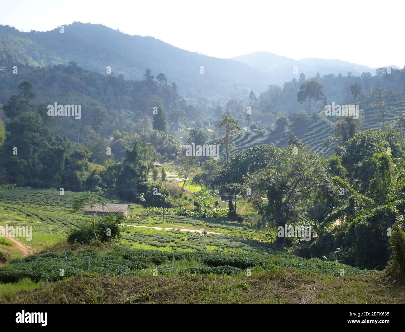 Impression of a beautiful trekking tour around CHiang Rai Stock Photo ...