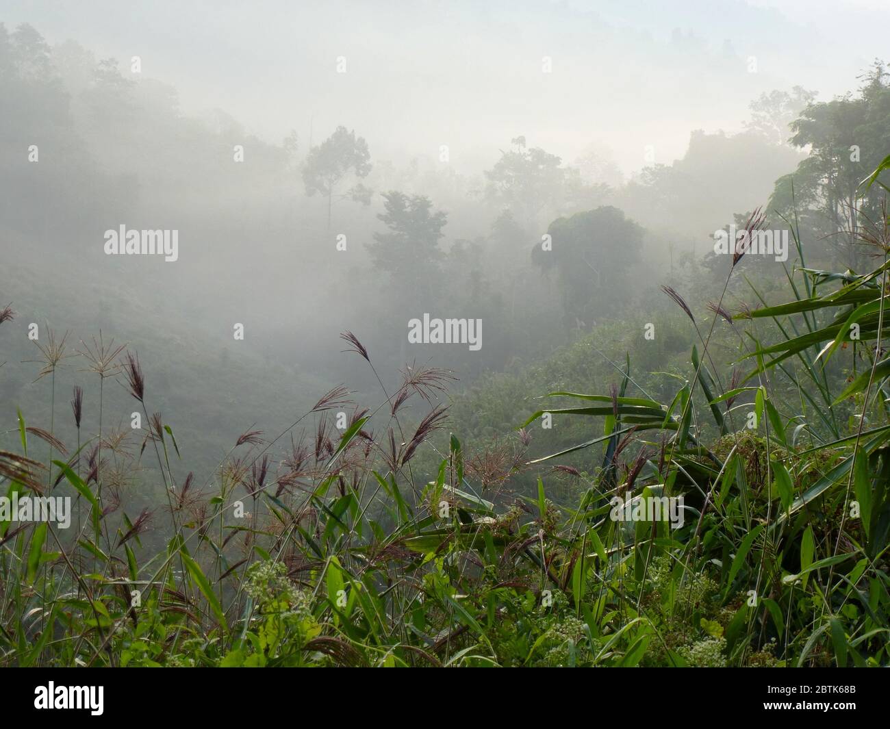 Impression of a beautiful trekking tour around CHiang Rai Stock Photo ...