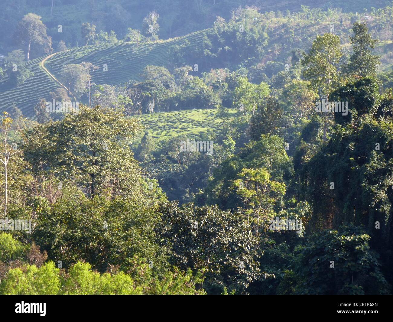 Impression of a beautiful trekking tour around CHiang Rai Stock Photo ...