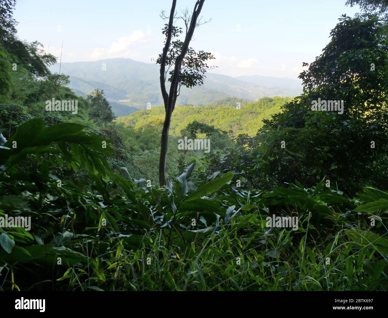 Impression of a beautiful trekking tour around CHiang Rai Stock Photo ...