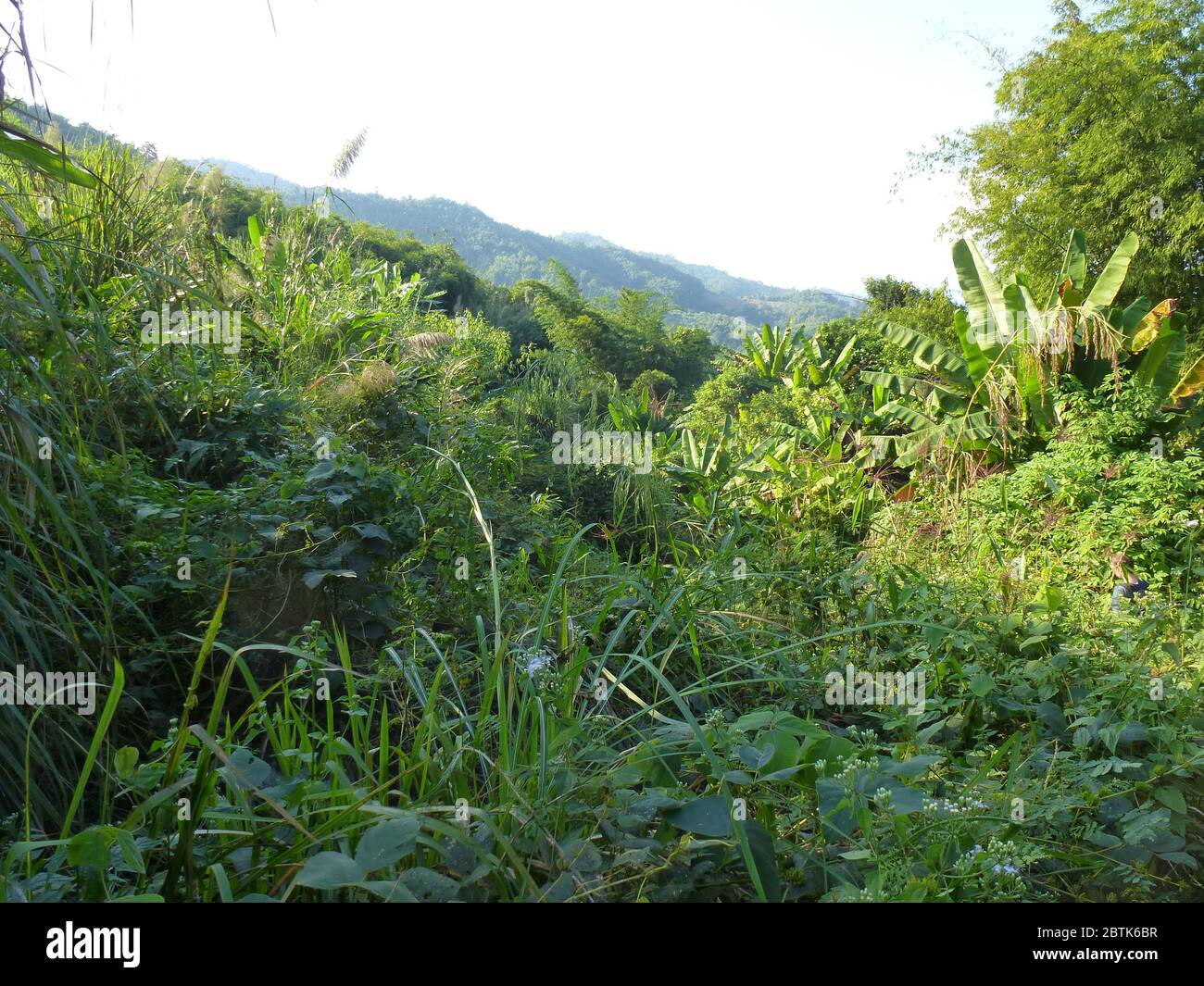 Impression of a beautiful trekking tour around CHiang Rai Stock Photo ...