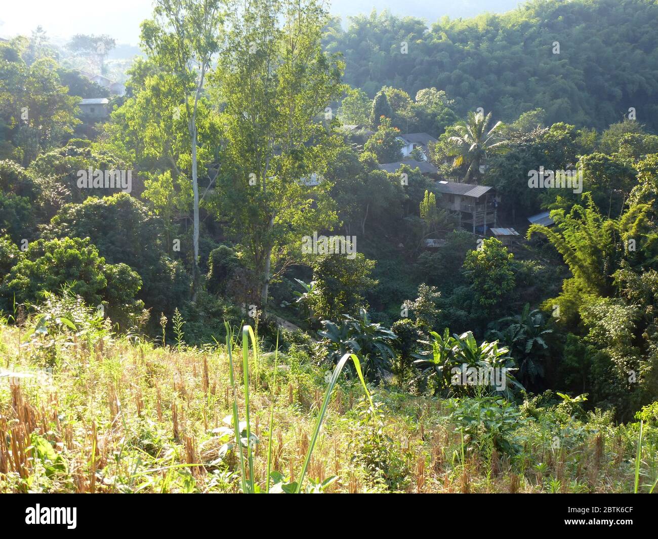 Impression of a beautiful trekking tour around CHiang Rai Stock Photo ...