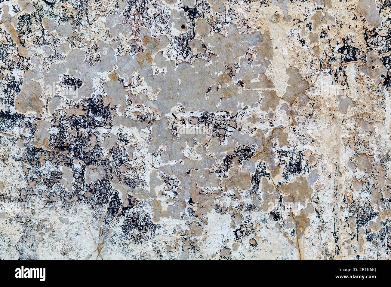 Decay texture hi-res stock photography and images - Alamy