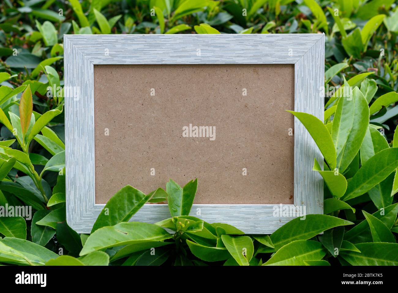 Empty Picture Frame in Natural Environment Stock Photo - Alamy