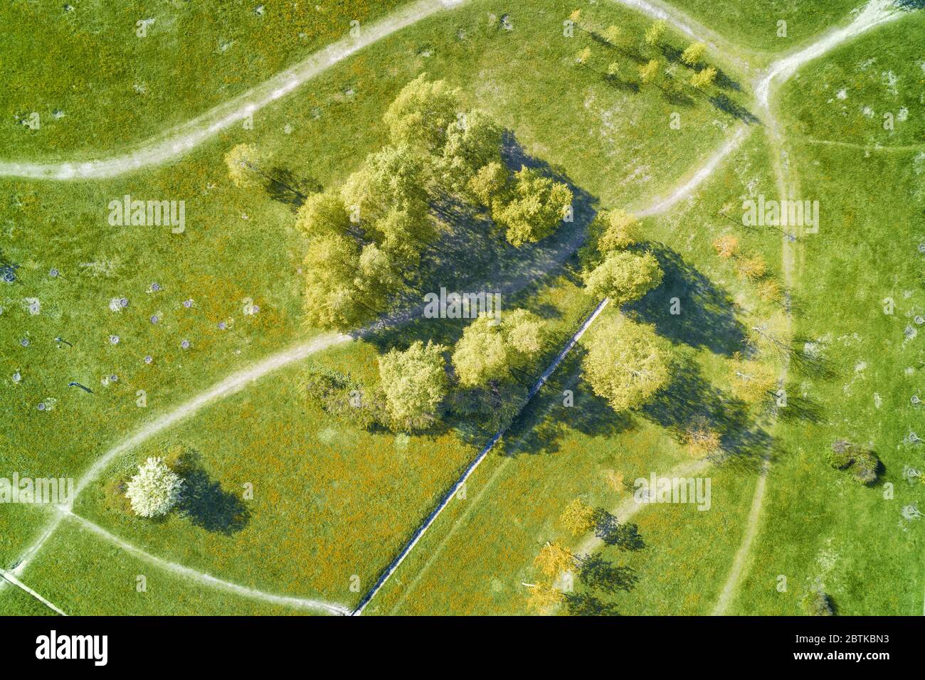 Aerial forest road paths hi-res stock photography and images - Alamy