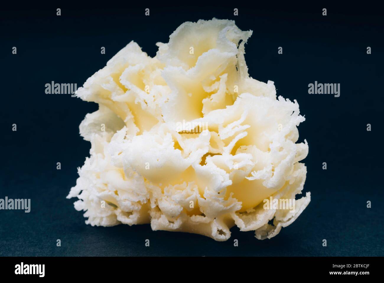 Swiss cheese Tete de Moine or monastery monk's head, scraped with a ...