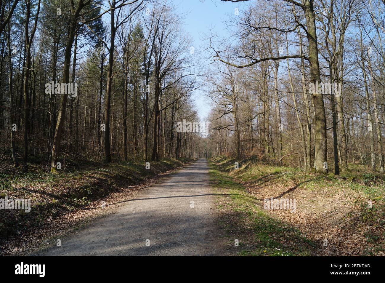 Waldweg hi-res stock photography and images - Alamy