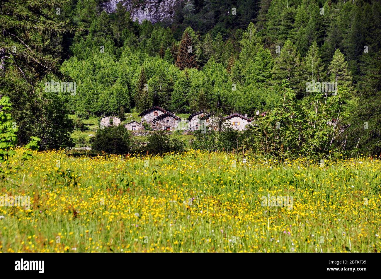Valle plsuga hi-res stock photography and images - Alamy