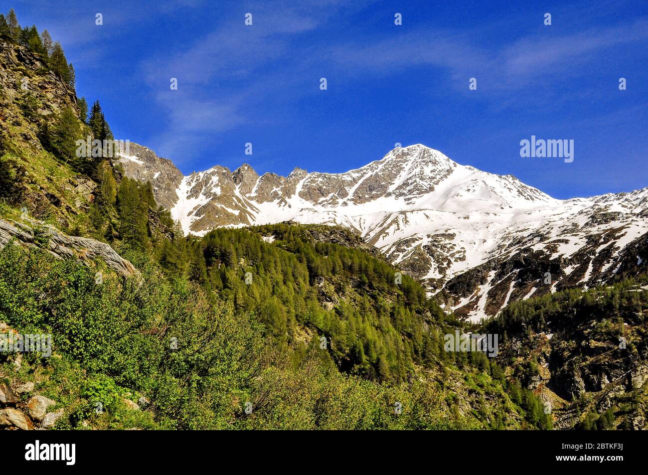 Valle plsuga hi-res stock photography and images - Alamy