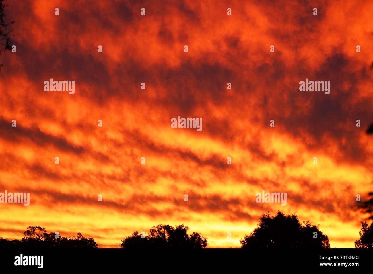 A red hot sunset fills the sky with bright rich red and orange colors ...