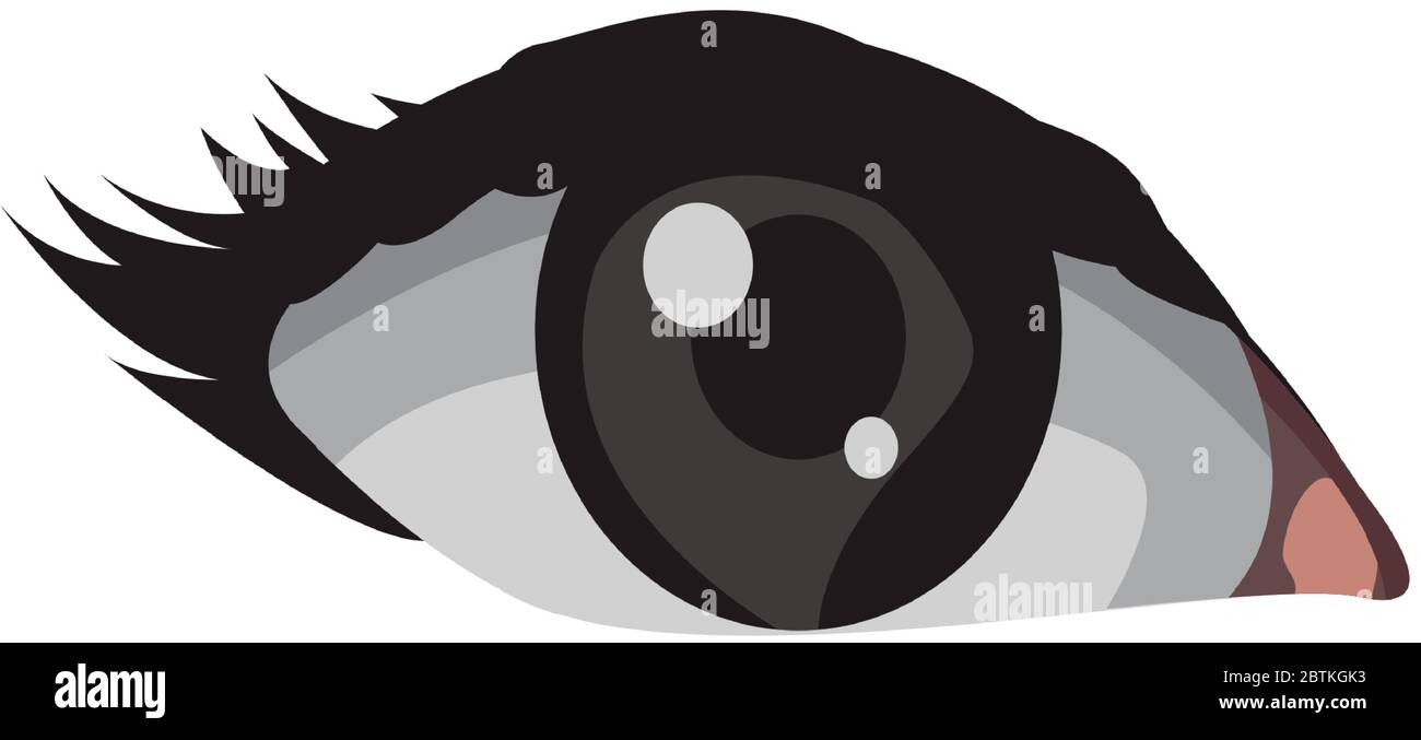 eye human realistic isolated icon Stock Vector Image & Art - Alamy