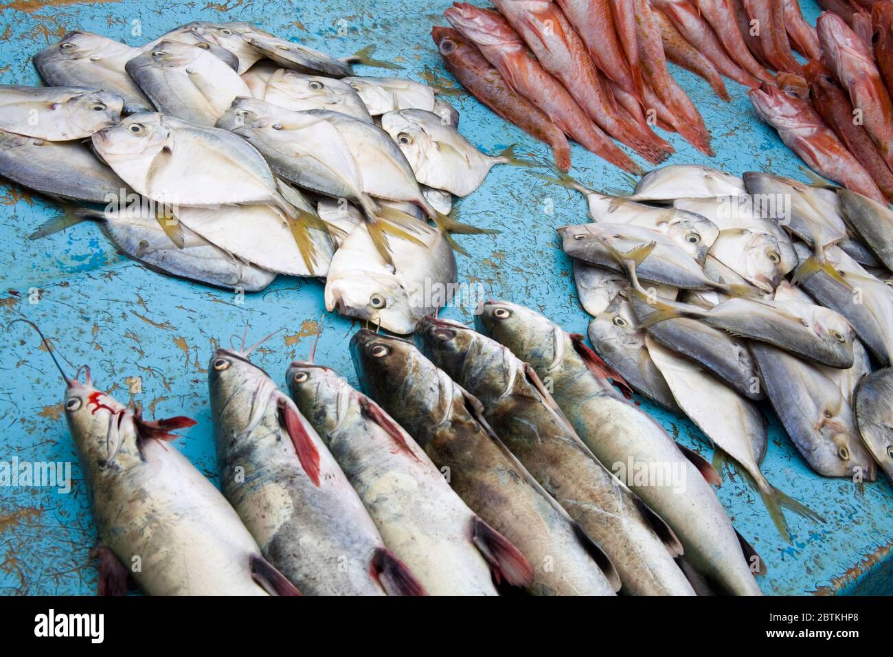 Fish Market on Tarqui Beach, City of Manta, Ecuador,South America Stock ...