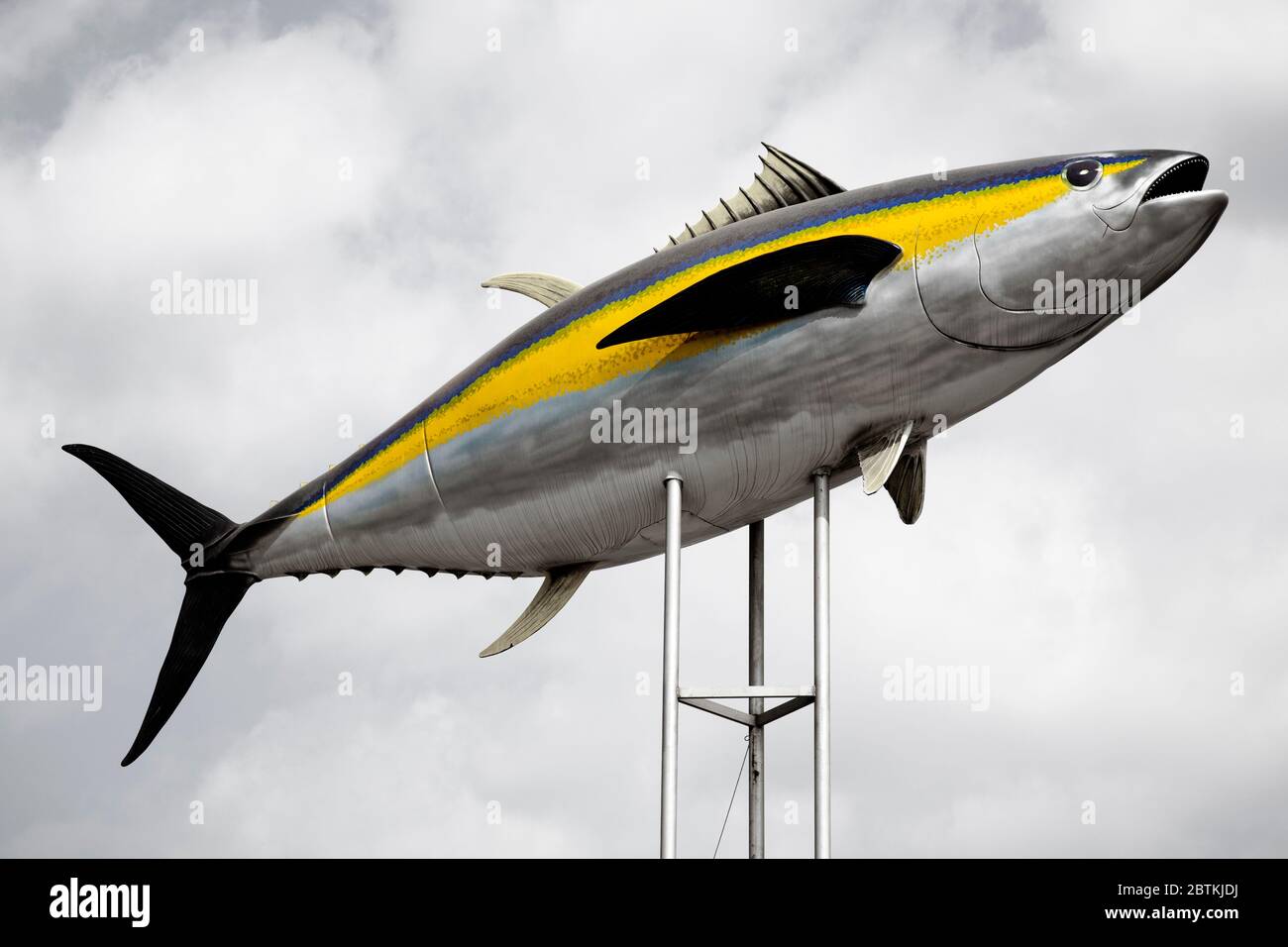 Giant Tuna on the Malecon, City of Manta, Ecuador,South America Stock ...