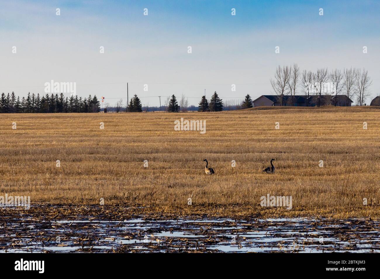 Canadian spring landscape hi-res stock photography and images - Alamy