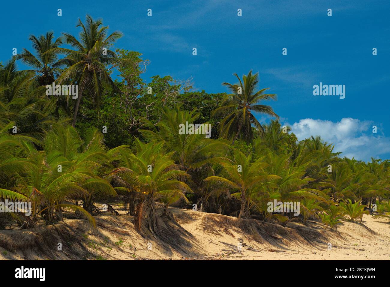 Puerto Rico scenic Stock Photo - Alamy