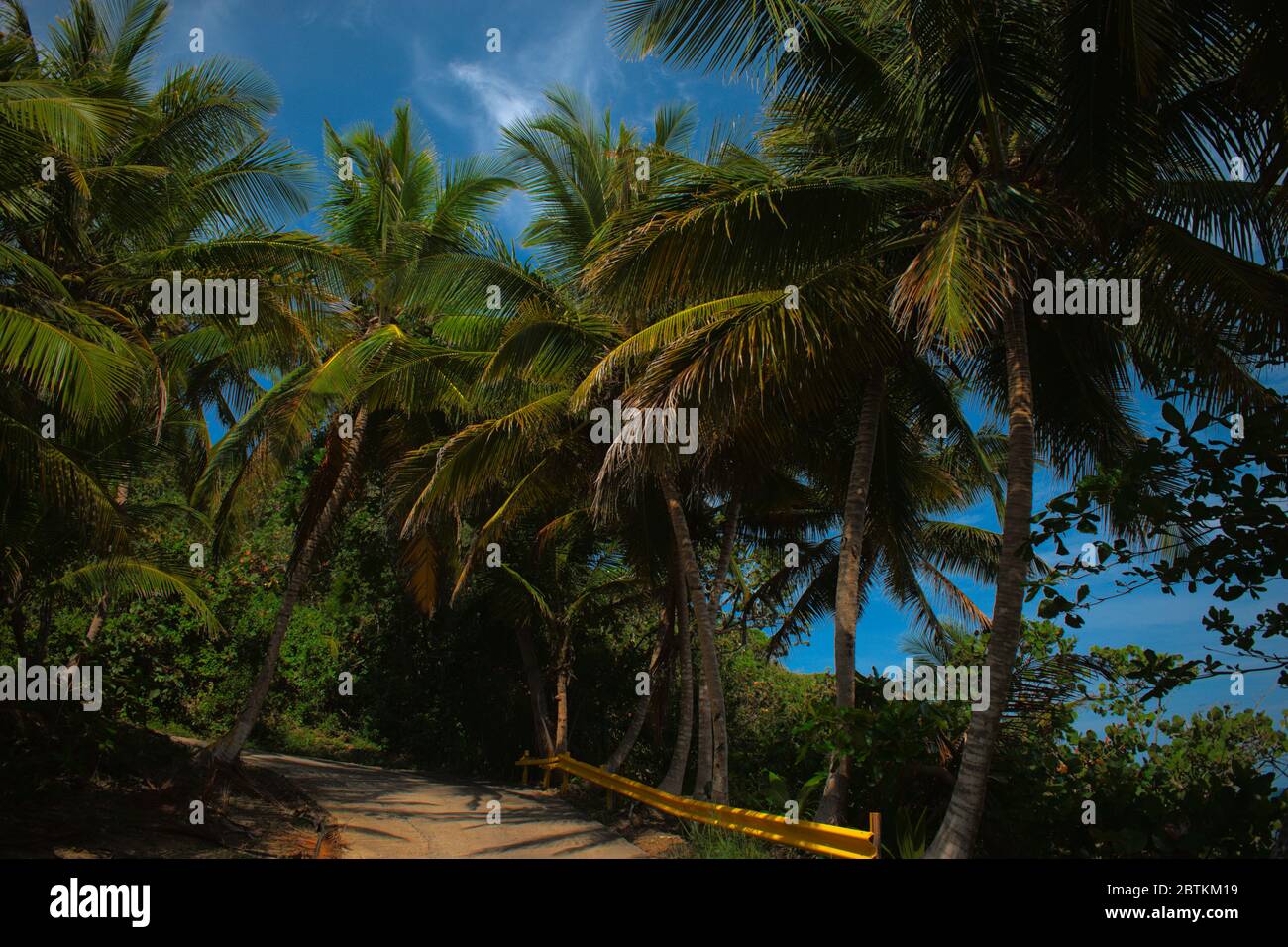 Puerto Rico scenic Stock Photo - Alamy