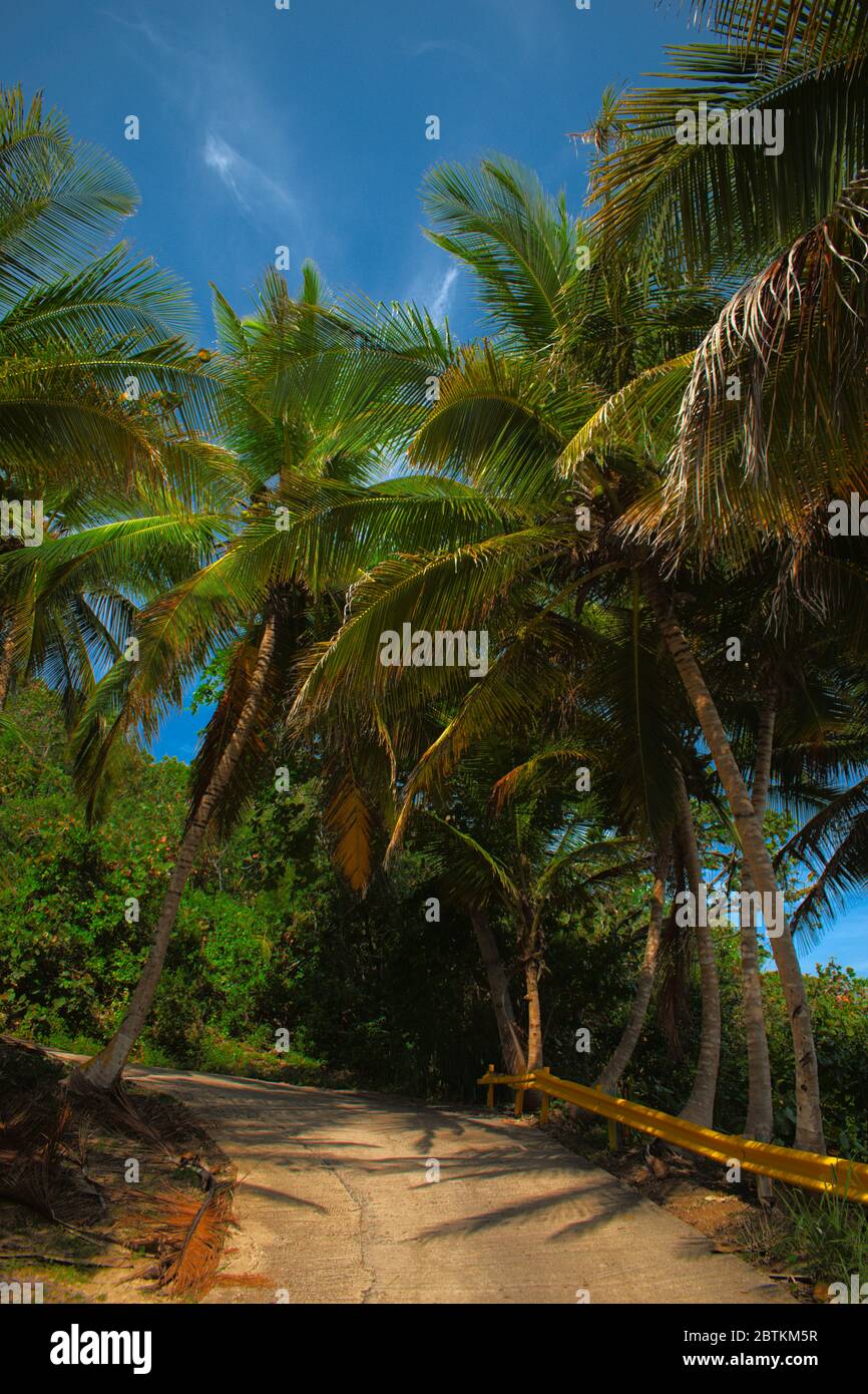 Puerto Rico scenic Stock Photo - Alamy