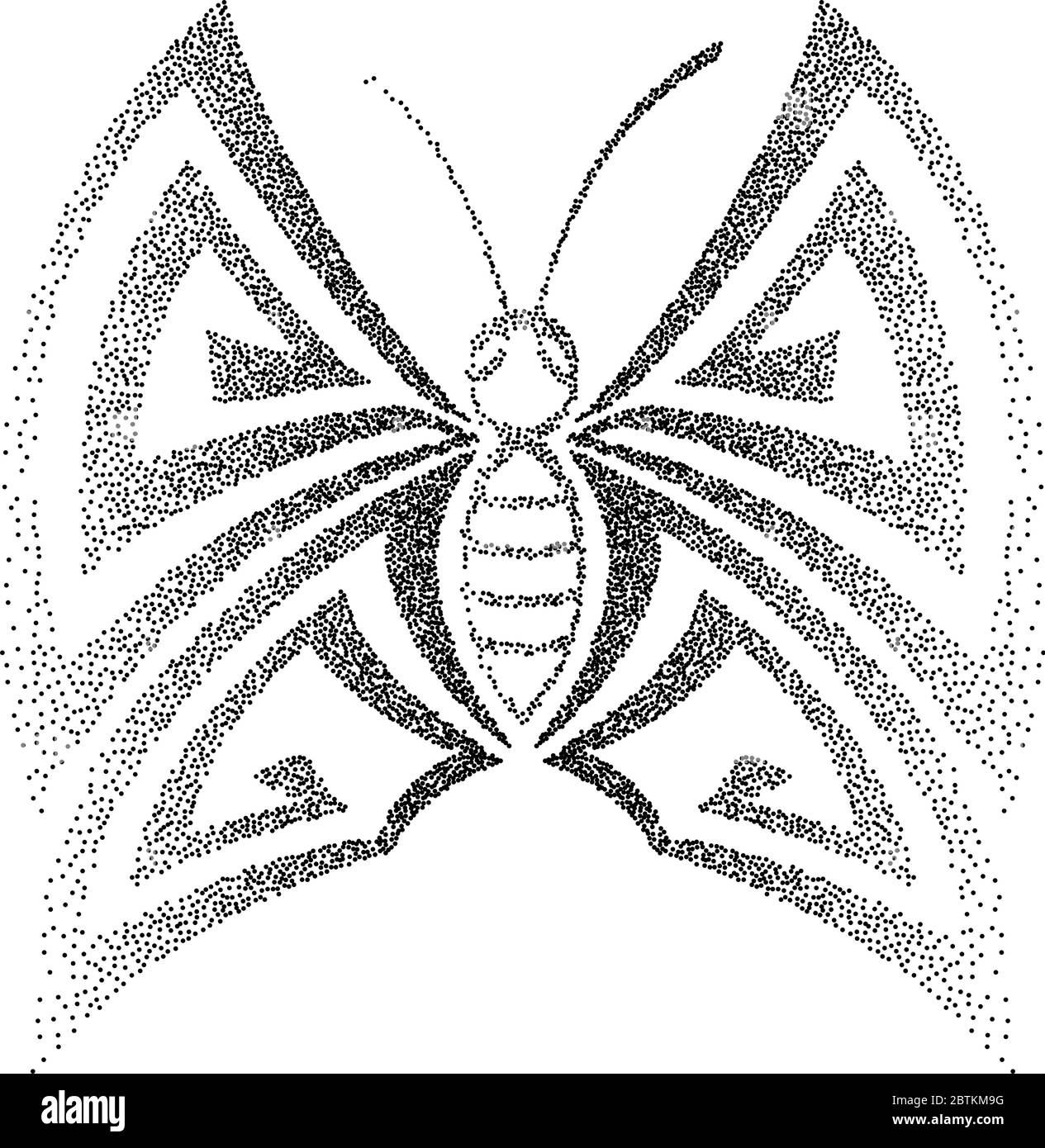 Graphic insect art Stock Vector Images - Alamy