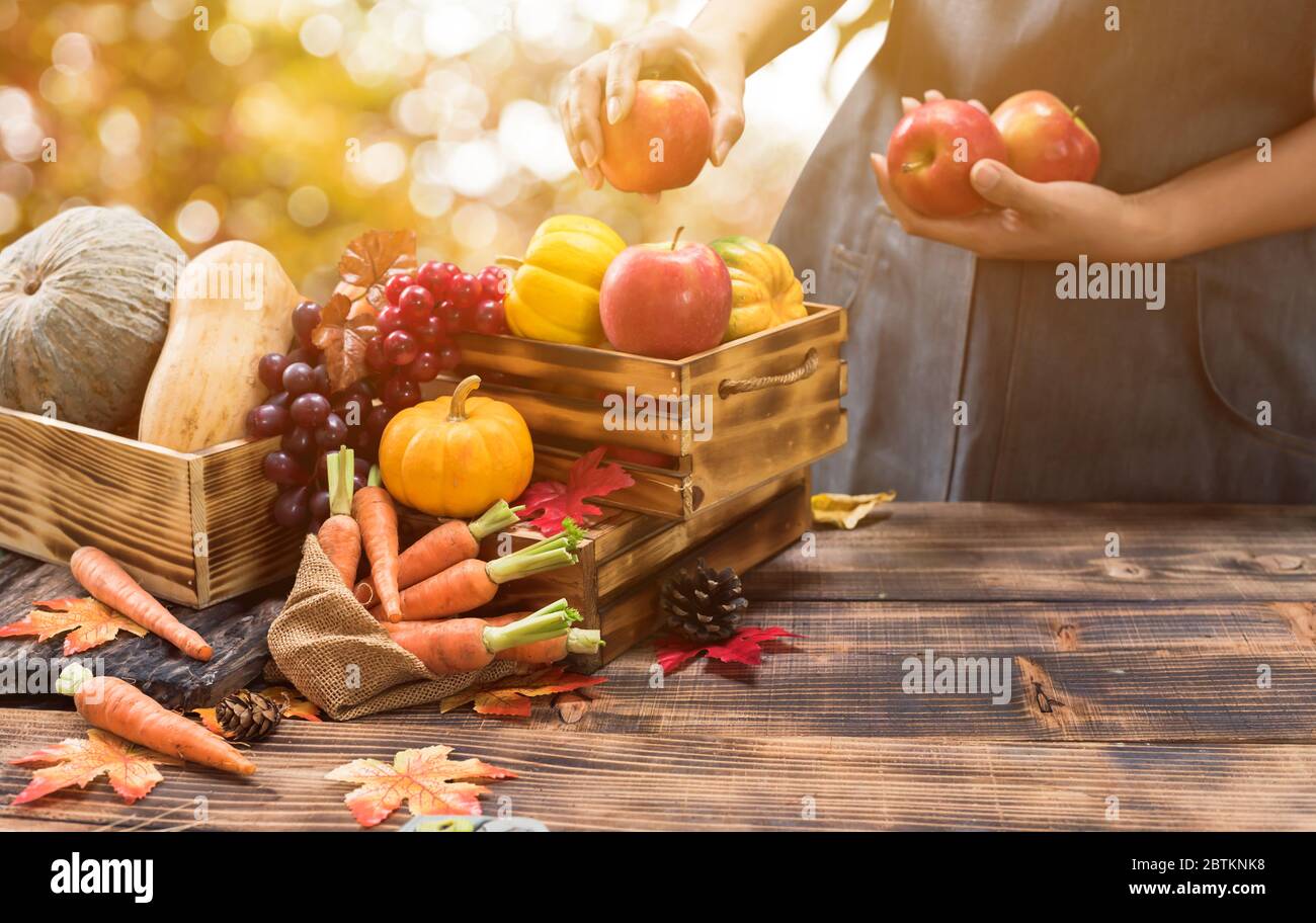 Fall harvest cornucopia. Farmer with fruit and vegetable in Autumn ...